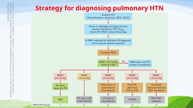 Approach to Pulmonary Hypertension Diagnosis & Management | PPT