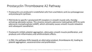 Pulmonary hypertension Pathophysiology and diagnosis [Autosaved].pptx