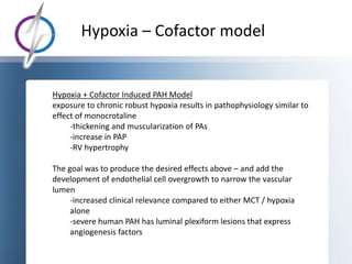 Examining Drug Candidates for Pulmonary Arterial Hypertension: The Ups ...