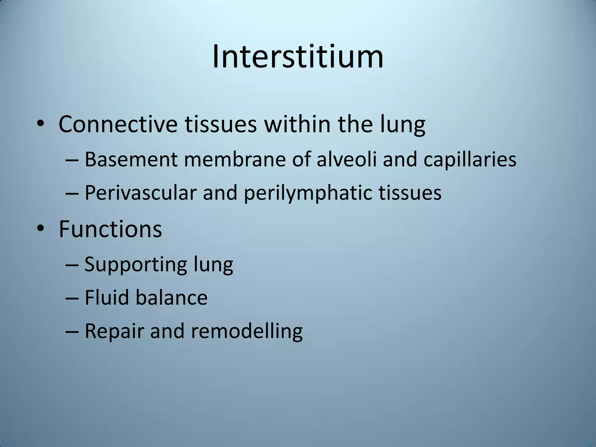 Pulmonary interstitium | PDF