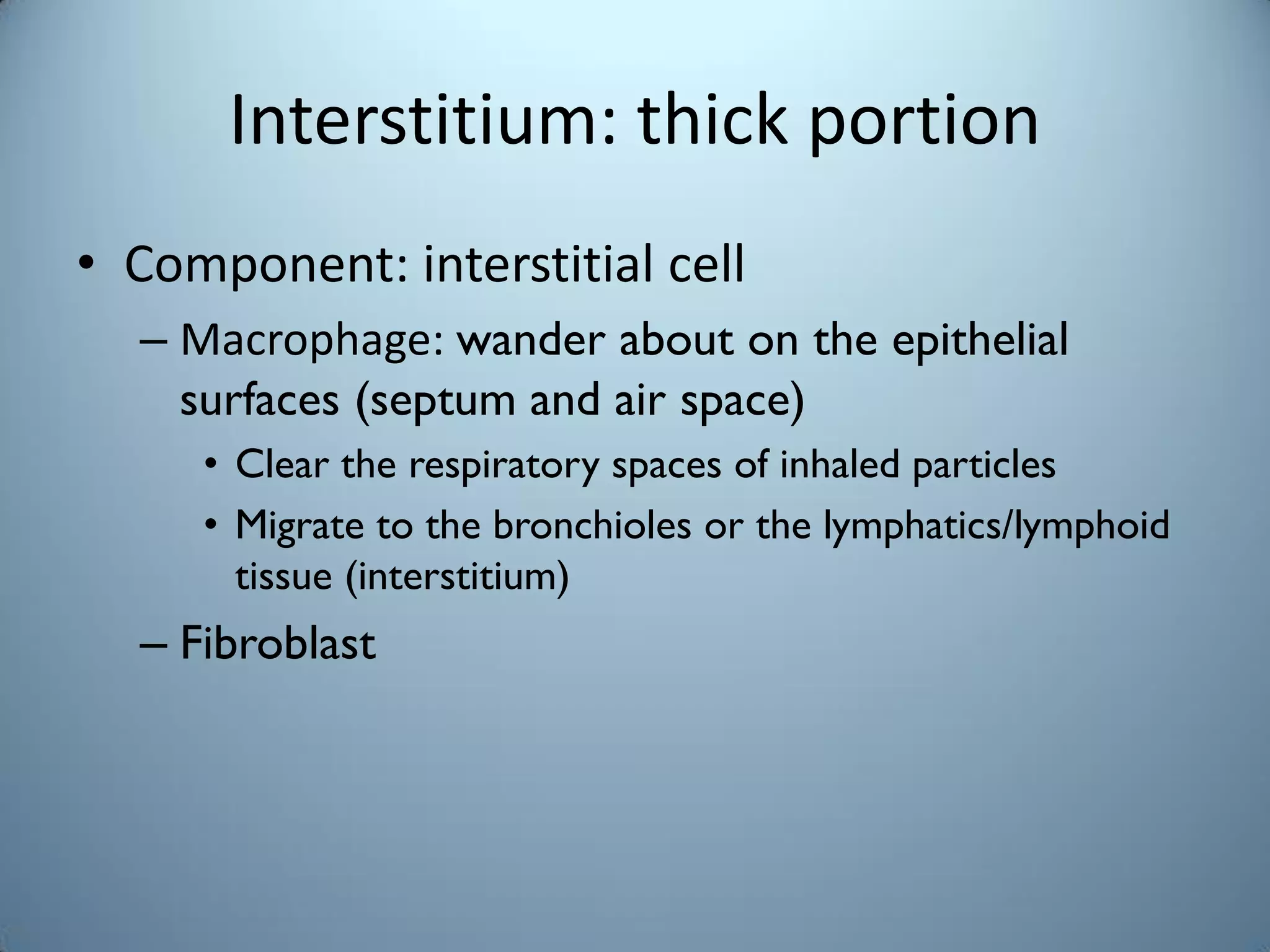 Pulmonary interstitium | PDF