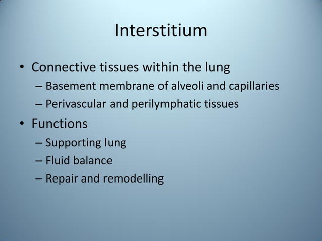 Pulmonary interstitium | PDF