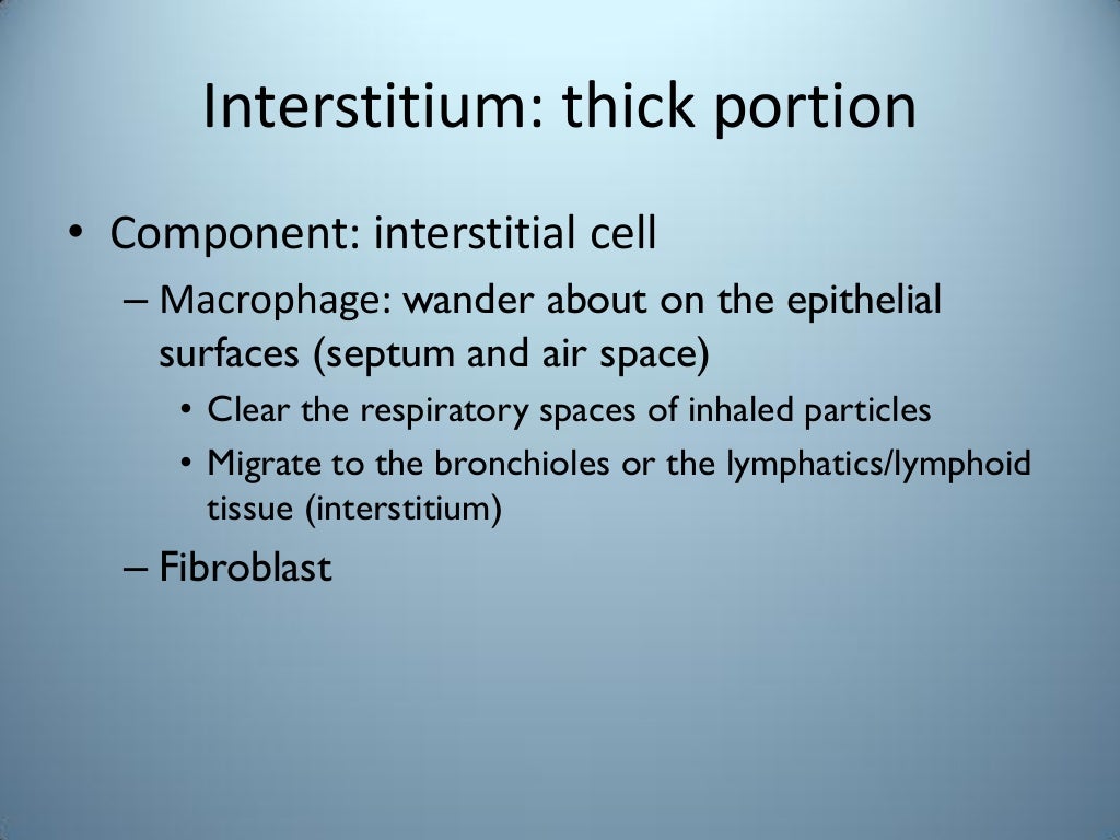 Pulmonary interstitium