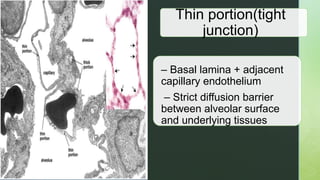 Pulmonary interstitium | PPTX