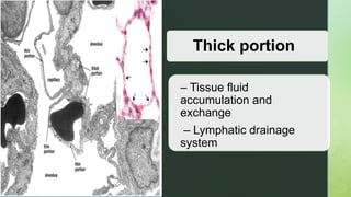 Pulmonary interstitium | PPTX | Lung and Respiratory Health | Diseases ...