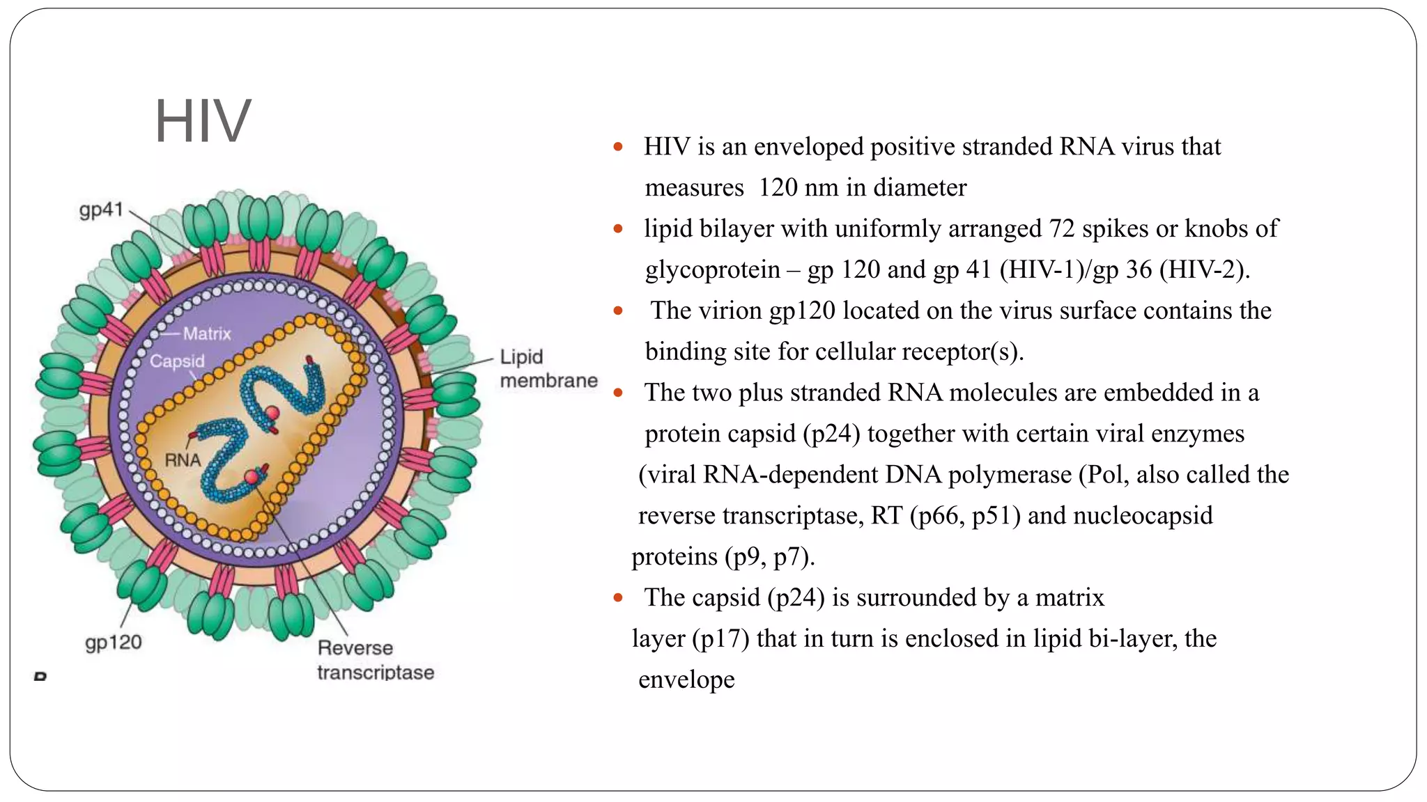 Pulmonary involvement in peoples living with HIV | PPTX