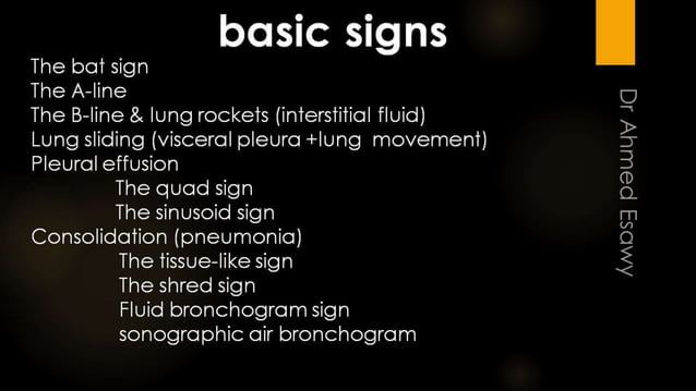 lung ultrasound all thing you want to know Dr Ahmed Esawy | PPT