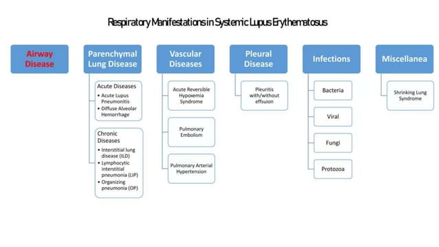 Pulmonary Manifestations of SLE.pptxpt | PPT | Lung and Respiratory ...