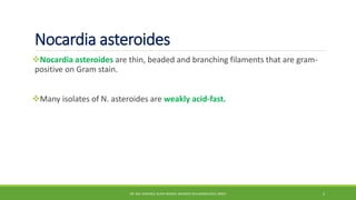Pulmonary Nocardiosis.pptx