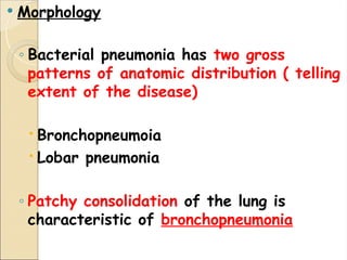 Pulmonary Pathology anatomy pneumonia lung ca | PPT