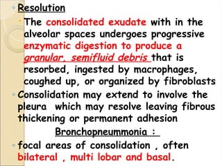 Pulmonary Pathology anatomy pneumonia lung ca | PPT