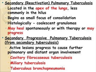 Pulmonary Pathology anatomy pneumonia lung ca | PPT