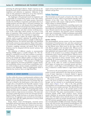 Pulmonary Physiology. BABY MILLER PDF MILLER | PDF