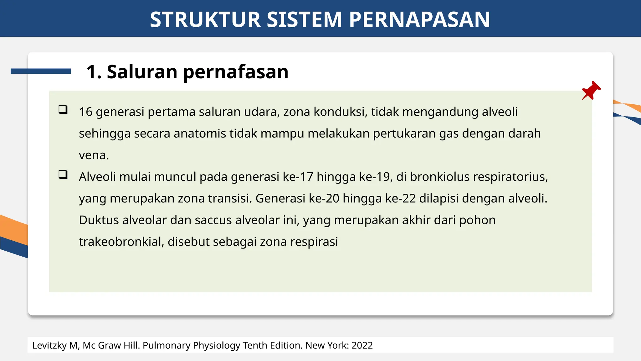 Pulmonary Physiology Chapter 1 Function and Structure of the ...