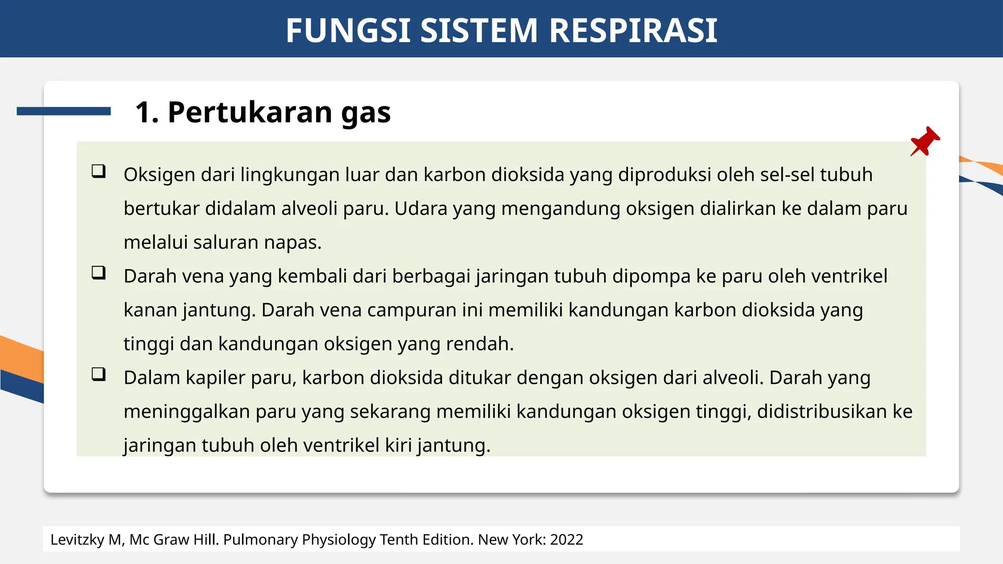 Pulmonary Physiology Chapter 1 Function and Structure of the ...
