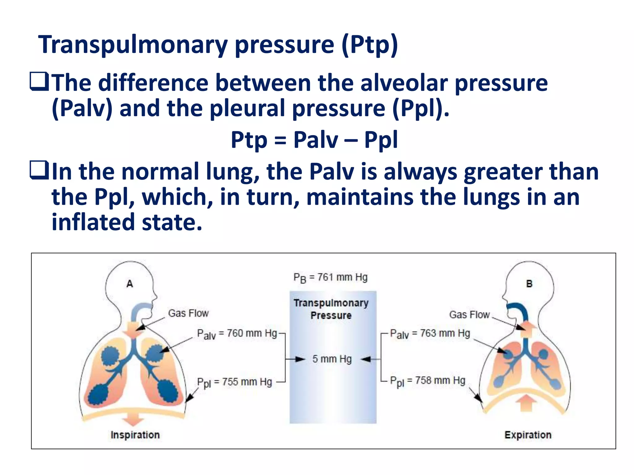 Pulmonary physiology in health part i | PPT
