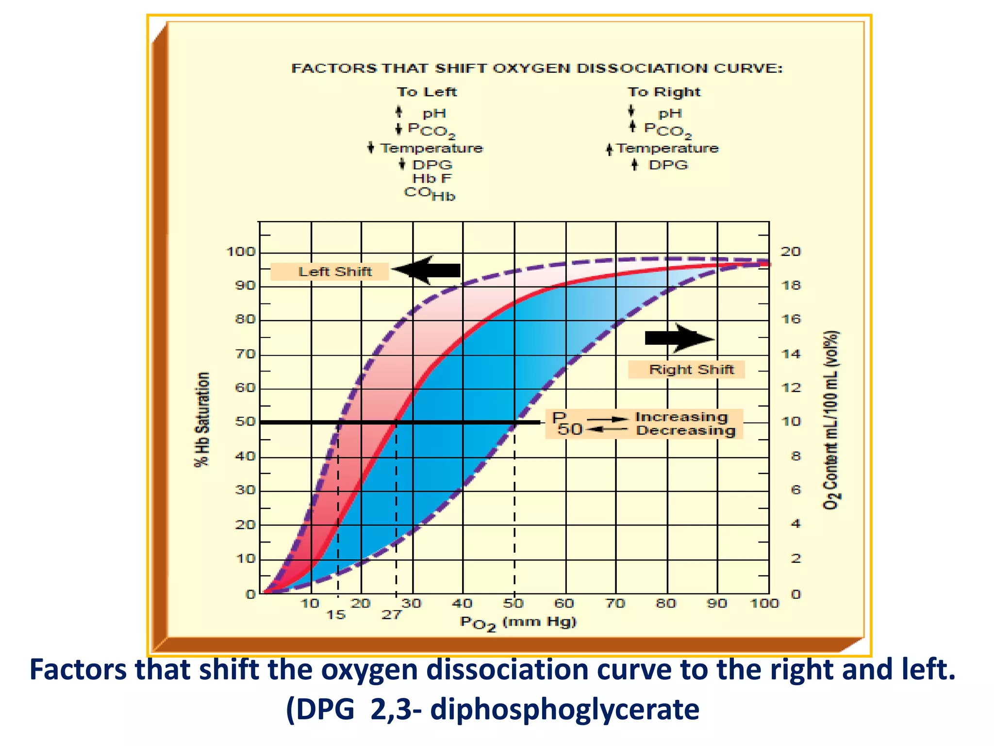 Pulmonary physiology in health part ii | PPTX
