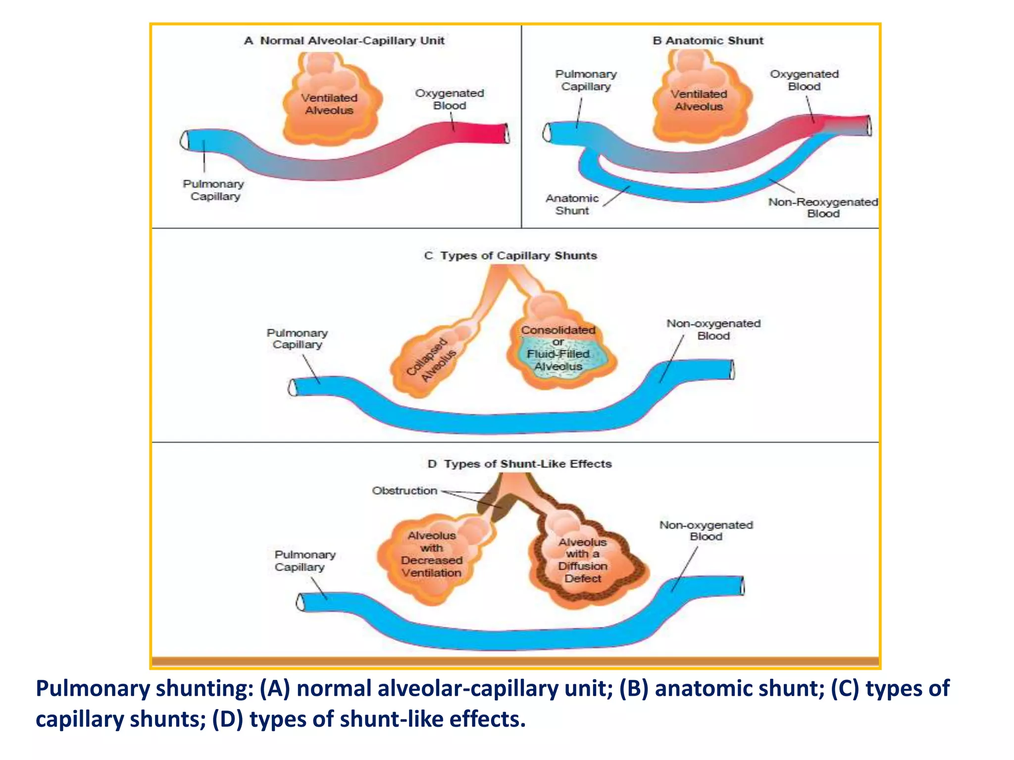 Pulmonary physiology in health part ii | PPTX