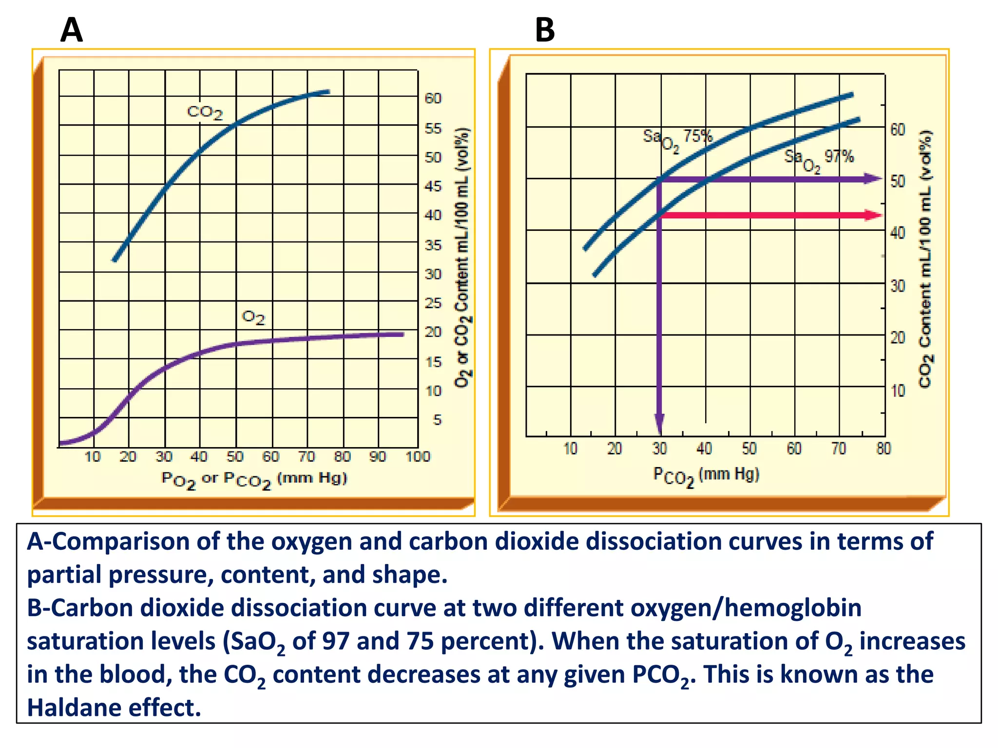 Pulmonary physiology in health part ii | PPTX