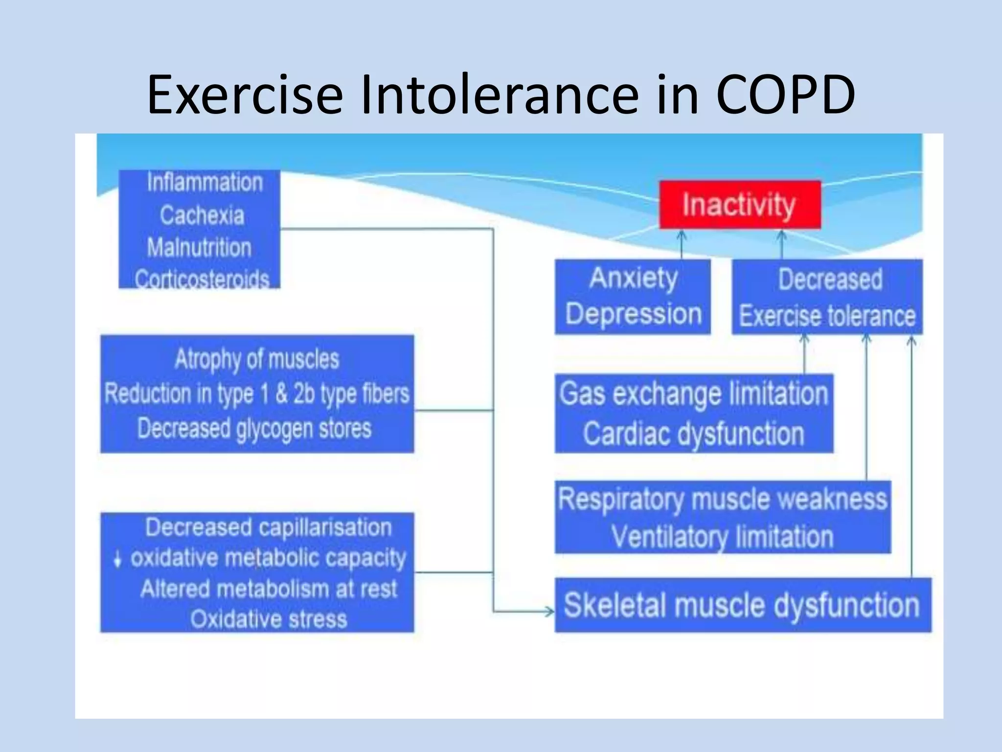 Pulmonary rehabilitation exercise prescription in copd | PPTX