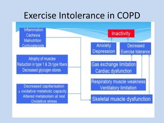 Pulmonary rehabilitation exercise prescription in copd | PPTX