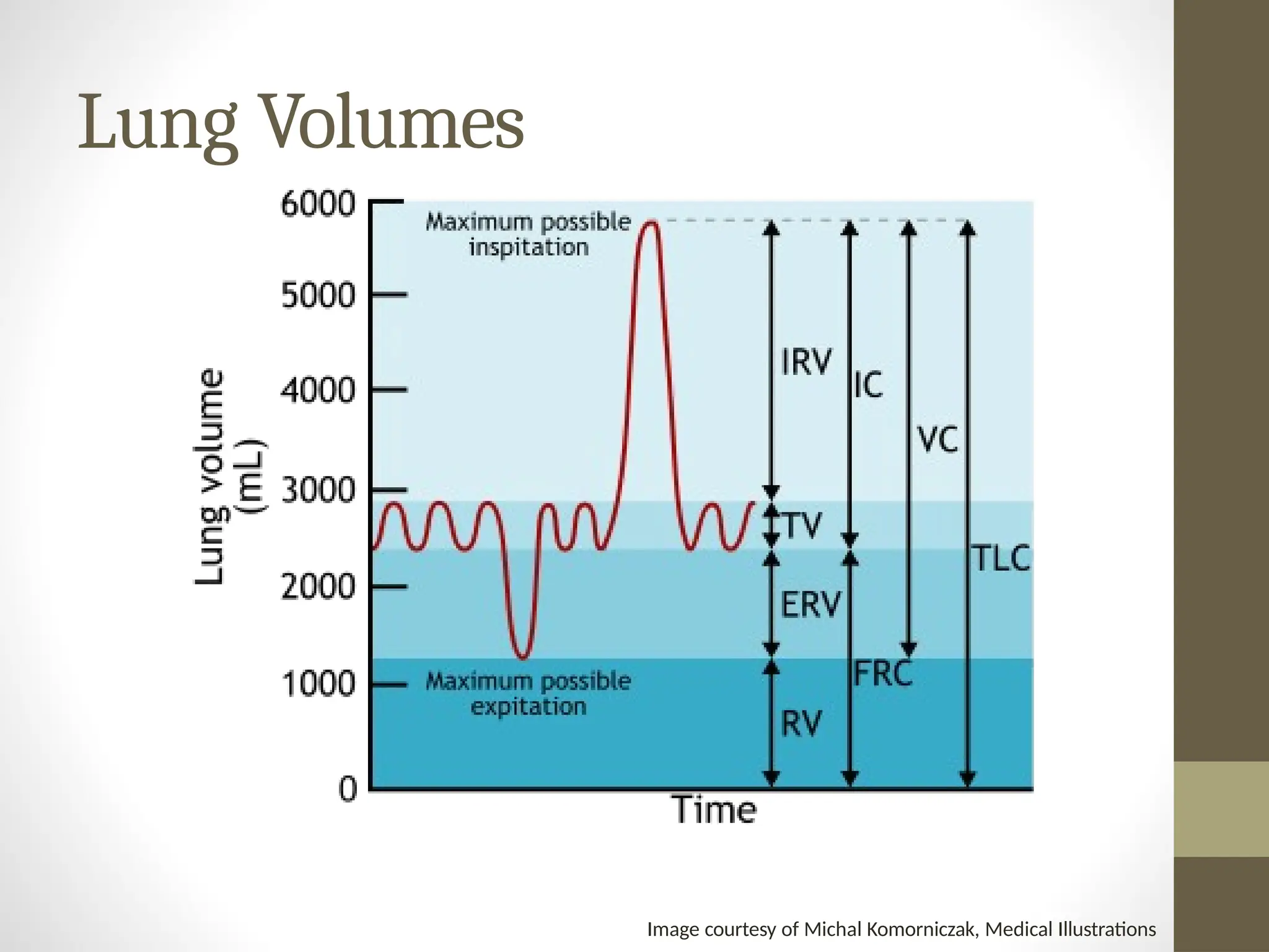 PulmonarySldes [MedicalBooksVN.com] (1).pptx