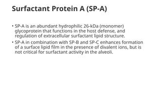 PULMONARY SURFACTANT SYSTEM Pulmonary Medicine.pptx