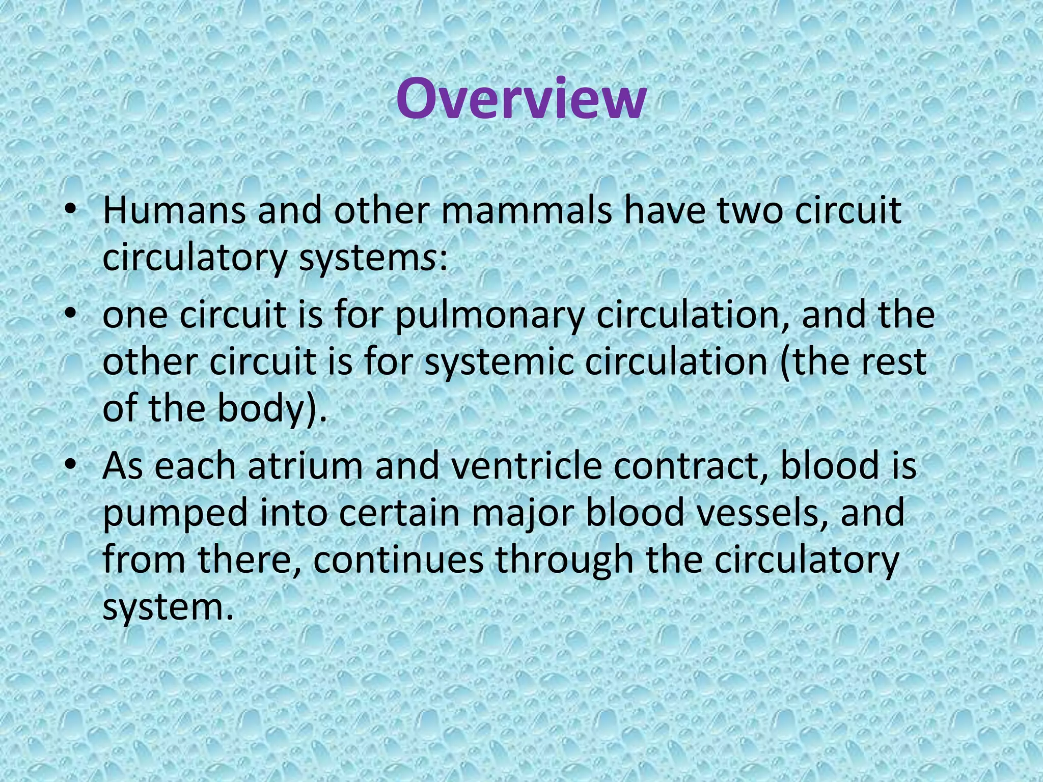 Pulmonary & syatamic circulations | PPTX