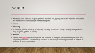Pulmonary System.pptx