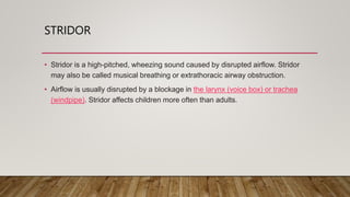 Pulmonary System.pptx