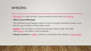 Pulmonary System.pptx