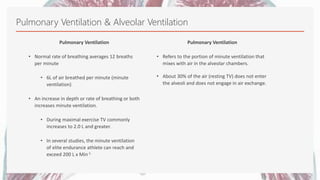 Pulmonary System.pptx | Lung and Respiratory Health | Diseases and ...