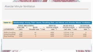 Pulmonary System.pptx | Lung and Respiratory Health | Diseases and ...