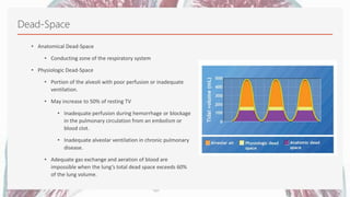 Pulmonary System.pptx | Lung and Respiratory Health | Diseases and ...