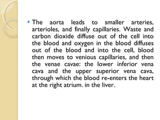 Pulmonary & systemic circulation | PPT