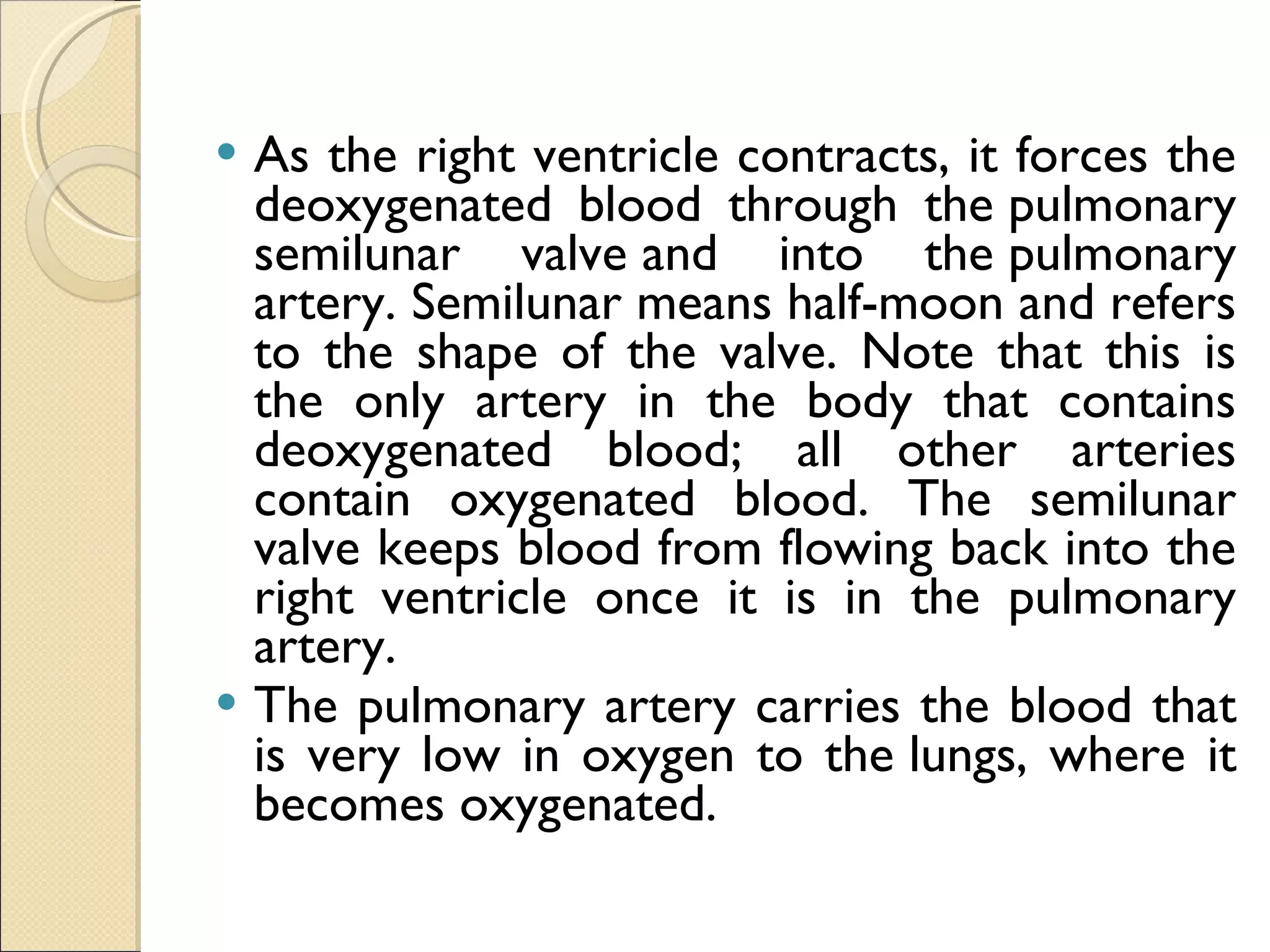 Pulmonary & systemic circulation | PPT