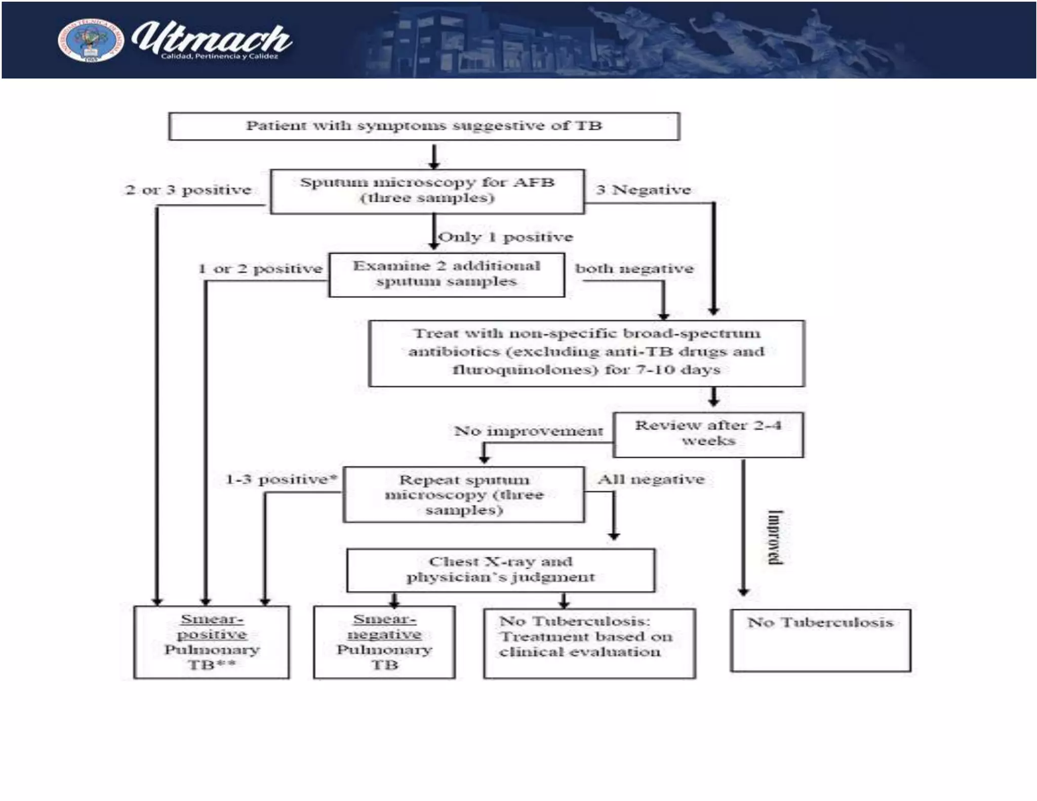 Pulmonary tuberculosis algorithm | DOCX | Lung and Respiratory Health ...