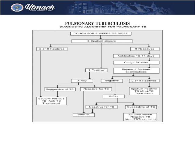 Pulmonary tuberculosis algorithm | DOCX | Lung and Respiratory Health ...