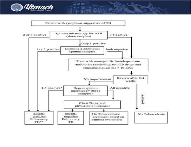 Pulmonary tuberculosis algorithm | DOCX | Lung and Respiratory Health ...