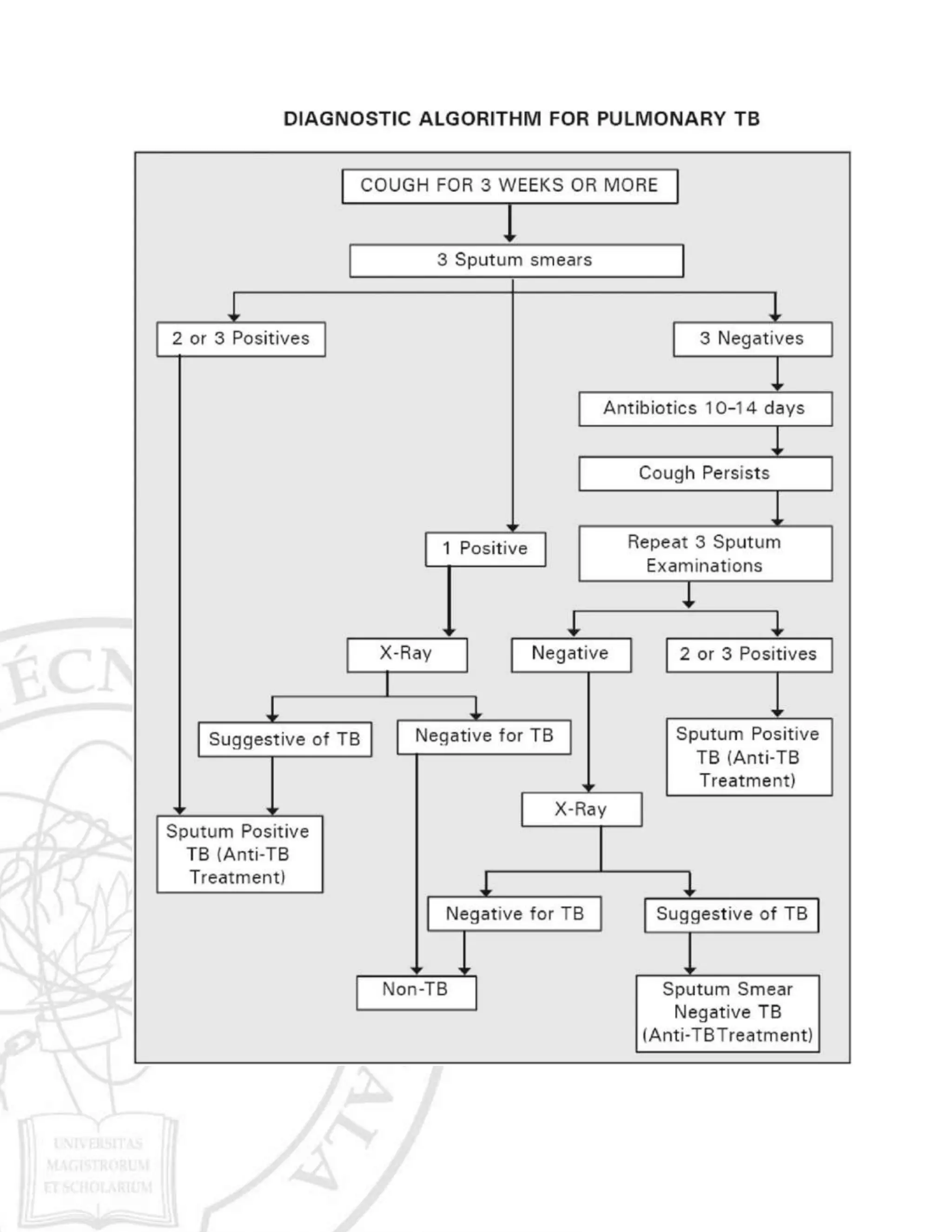 Pulmonary tuberculosis algorithm | PDF