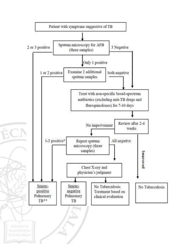 Pulmonary tuberculosis algorithm | PDF