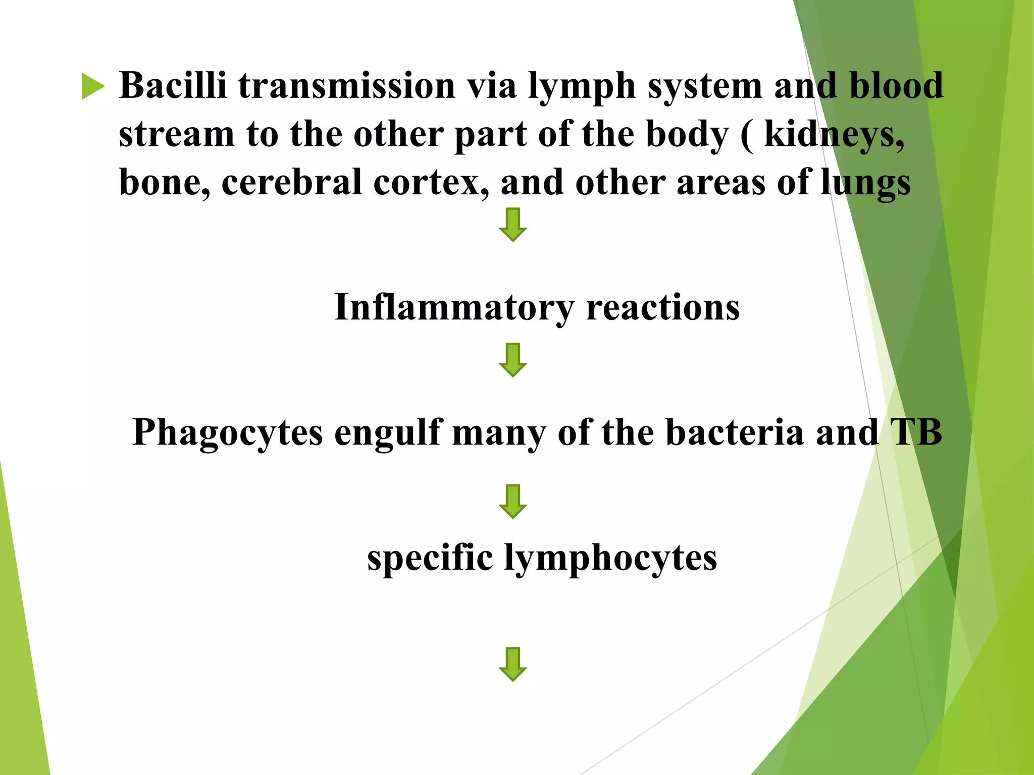 PULMONARY TUBERCULOSIS health care setting nursing perspective.pptx
