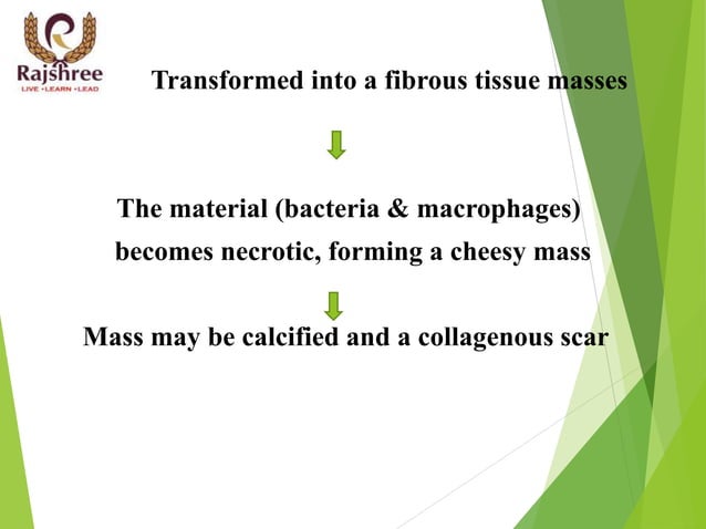 PULMONARY TUBERCULOSIS health care setting nursing perspective.pptx