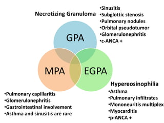 Pulmonary vasculitis | PPTX