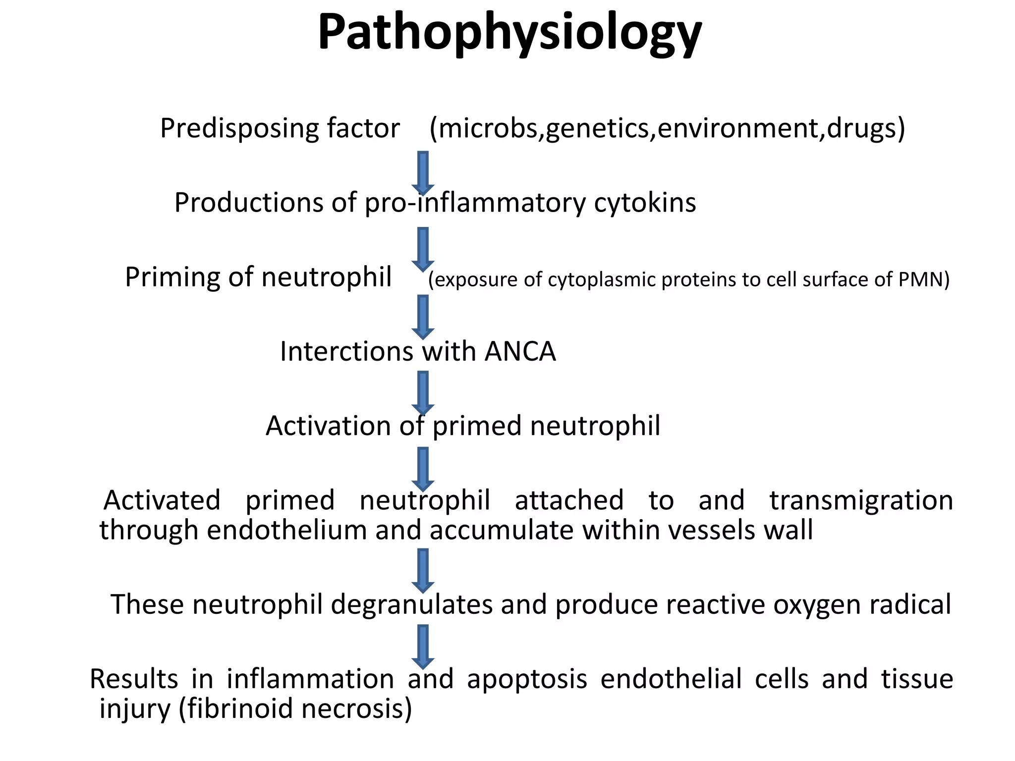 Pulmonary vasculitis(wegner,s granulomatosis) | PPTX