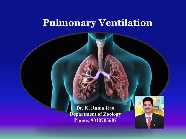 Pulmonary ventilation | PPTX