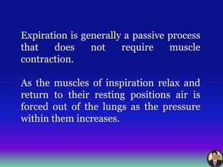 Pulmonary ventilation | PPTX