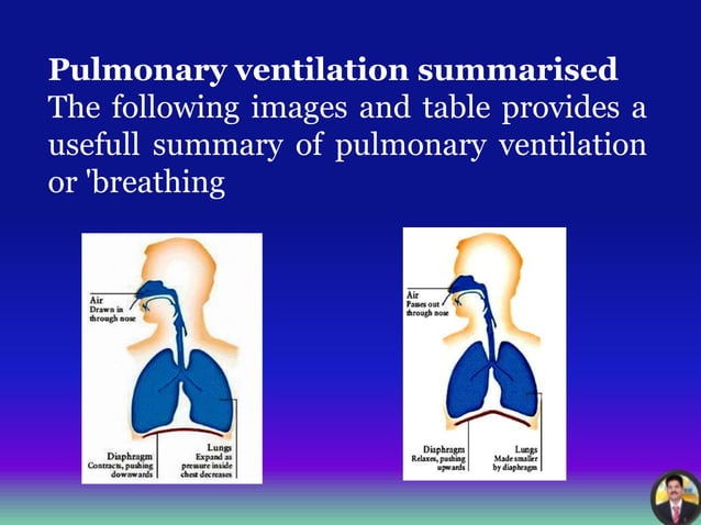 Pulmonary ventilation