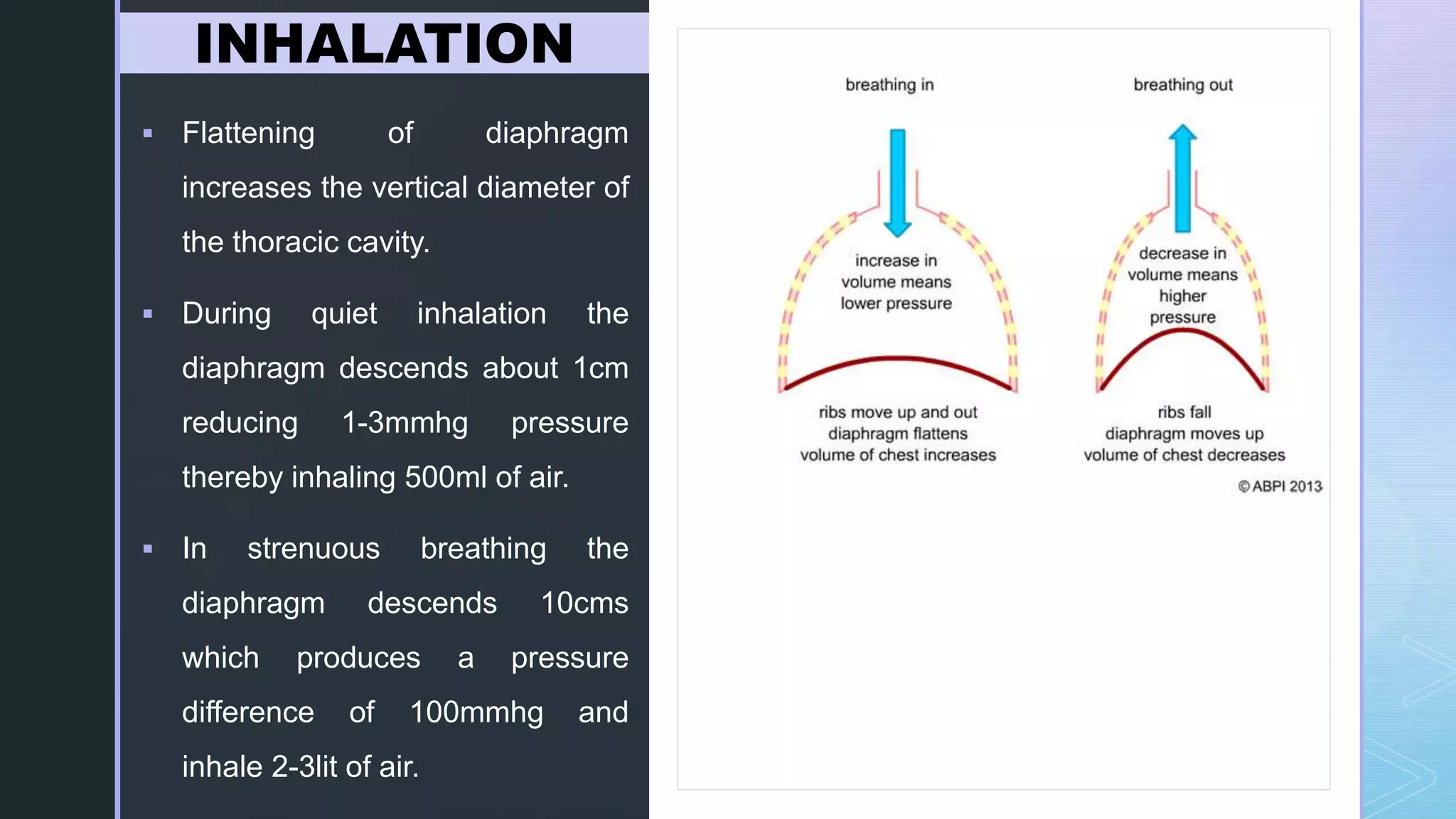 Pulmonary ventilation | PPTX
