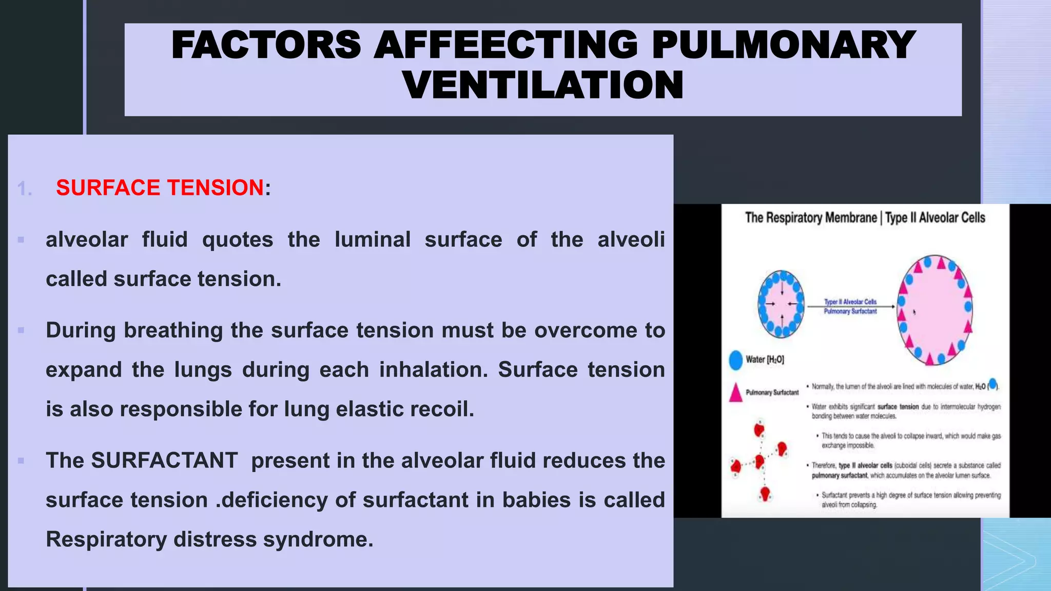 Pulmonary ventilation | PPTX